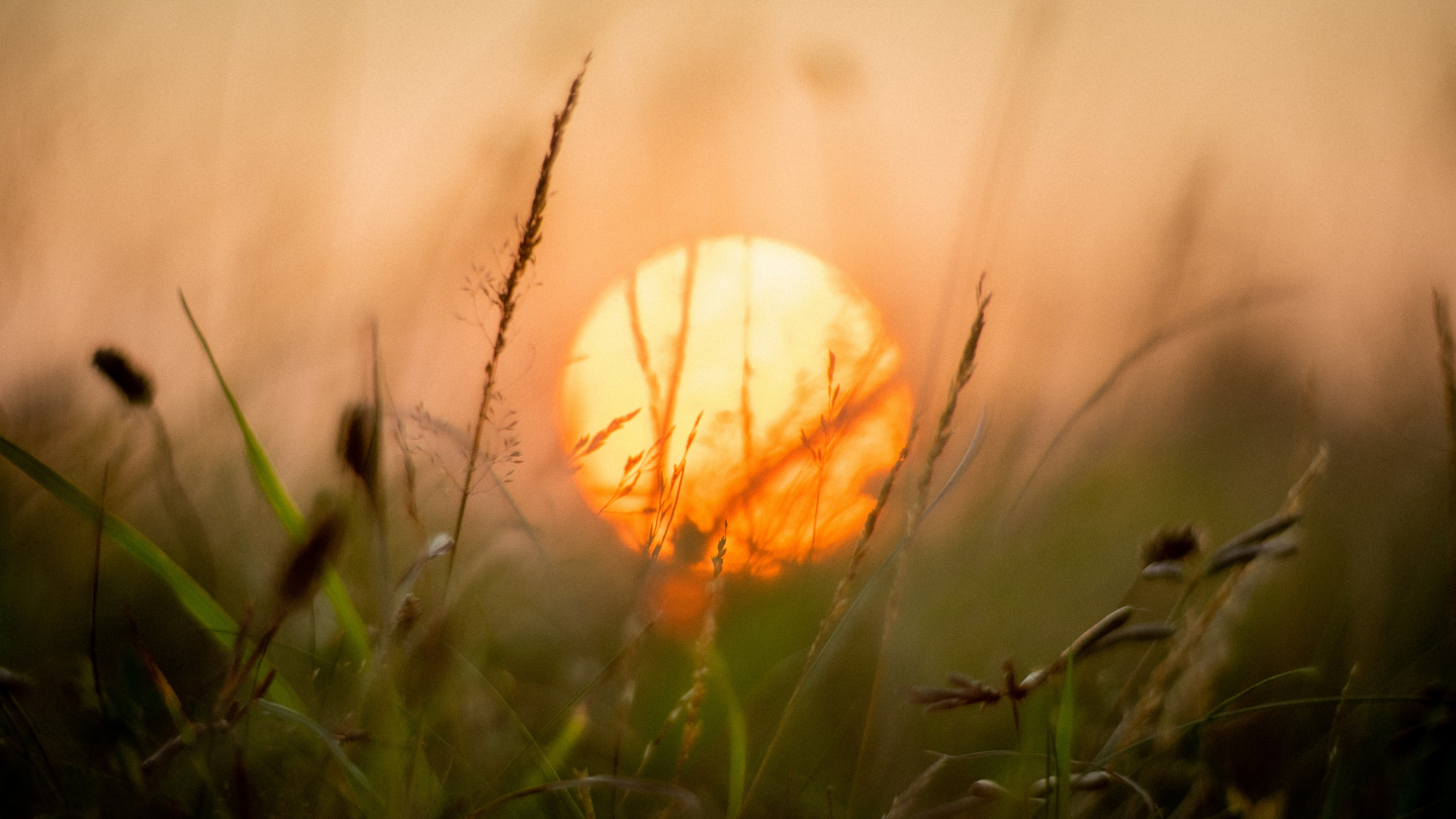 The Sun Is Actually Green | RealClearScience