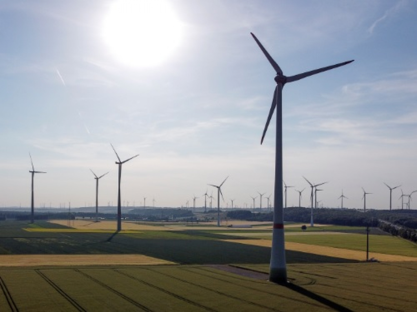 The Next ESG Frontier: Natural Asset Companies | RealClearMarkets