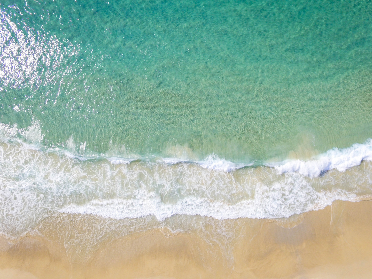 Life Only Needed a Small Amount of Oxygen to Explode | RealClearScience