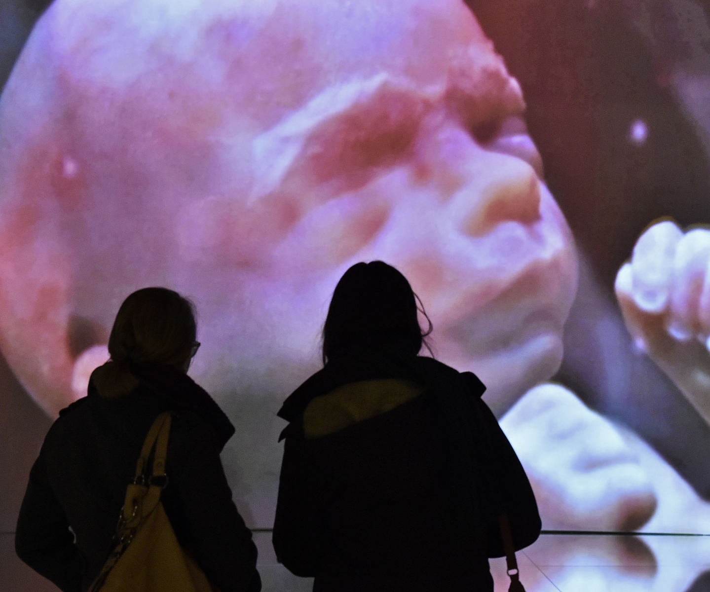 Big Advances in Human Embryo Replicas | RealClearScience