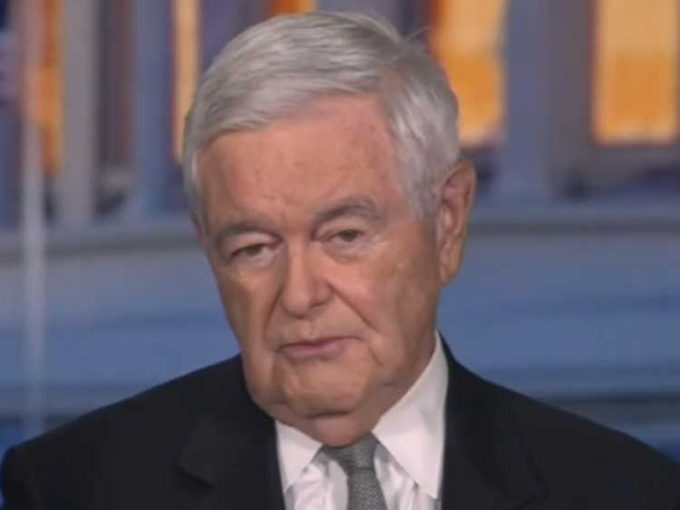 Gingrich: "Deep State Columnist" David Ignatius Pushing For Biden To ...