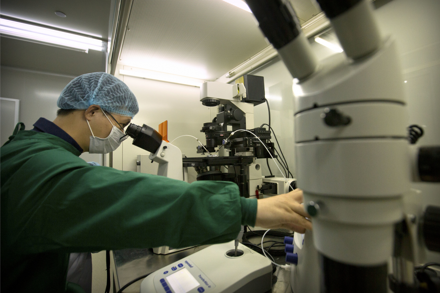 MOBE: A New Gene Editing System | RealClearScience