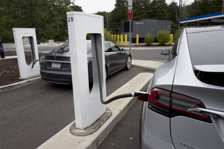 Quick and Clear Science | RealClearScience