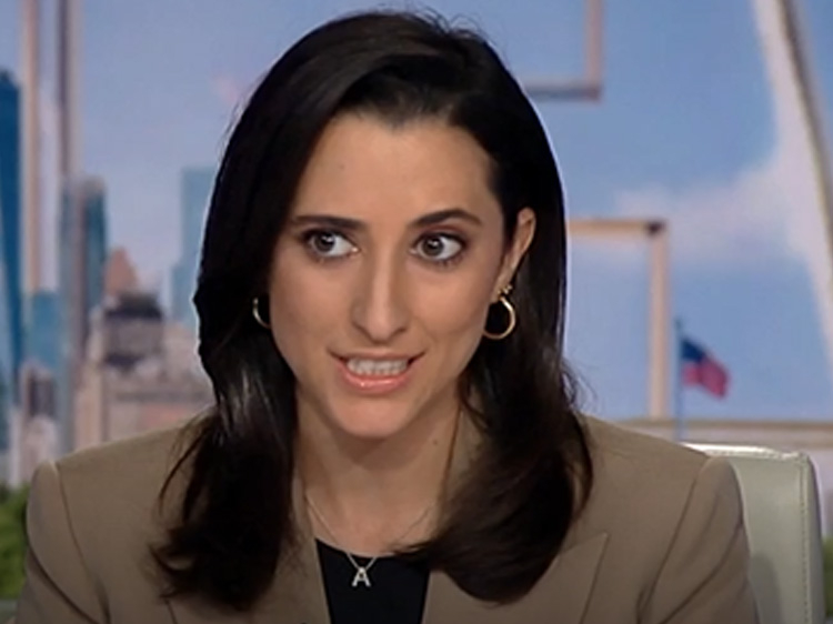 'FOX News Sunday' Panel: House Republican Sausage-Making Trying To Elect New Speaker | Video ...