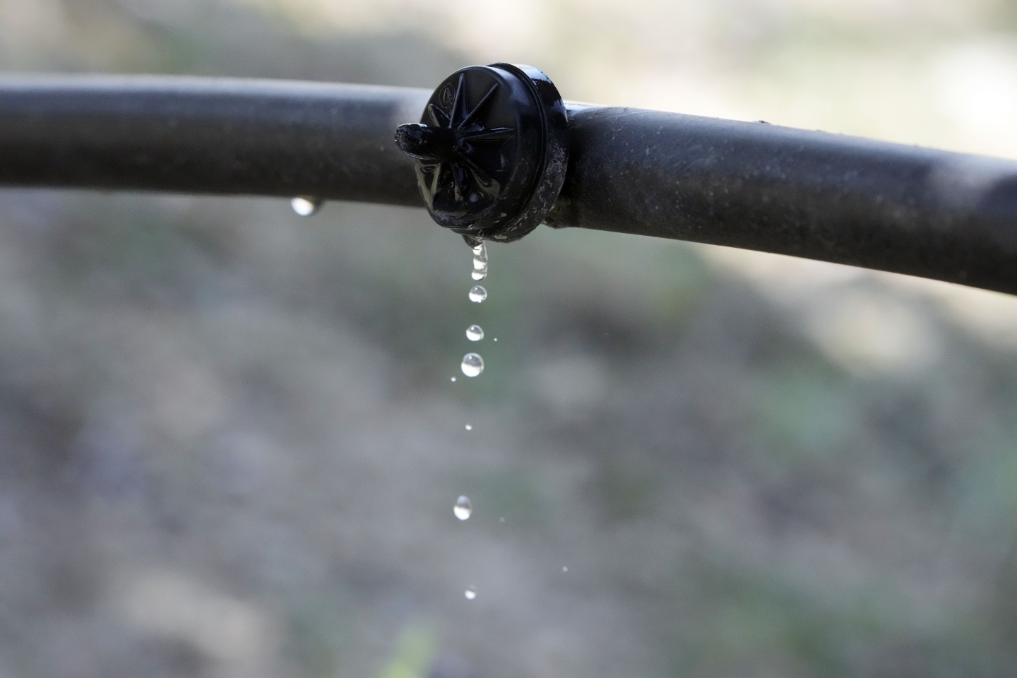 U.S. Groundwater Is Getting Saltier | RealClearScience