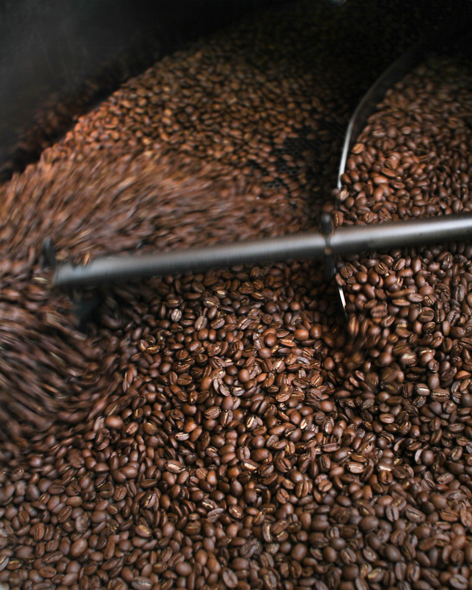 Evaluating the Flavor of Roasted, Lab-Grown Coffee Cells | RealClearScience