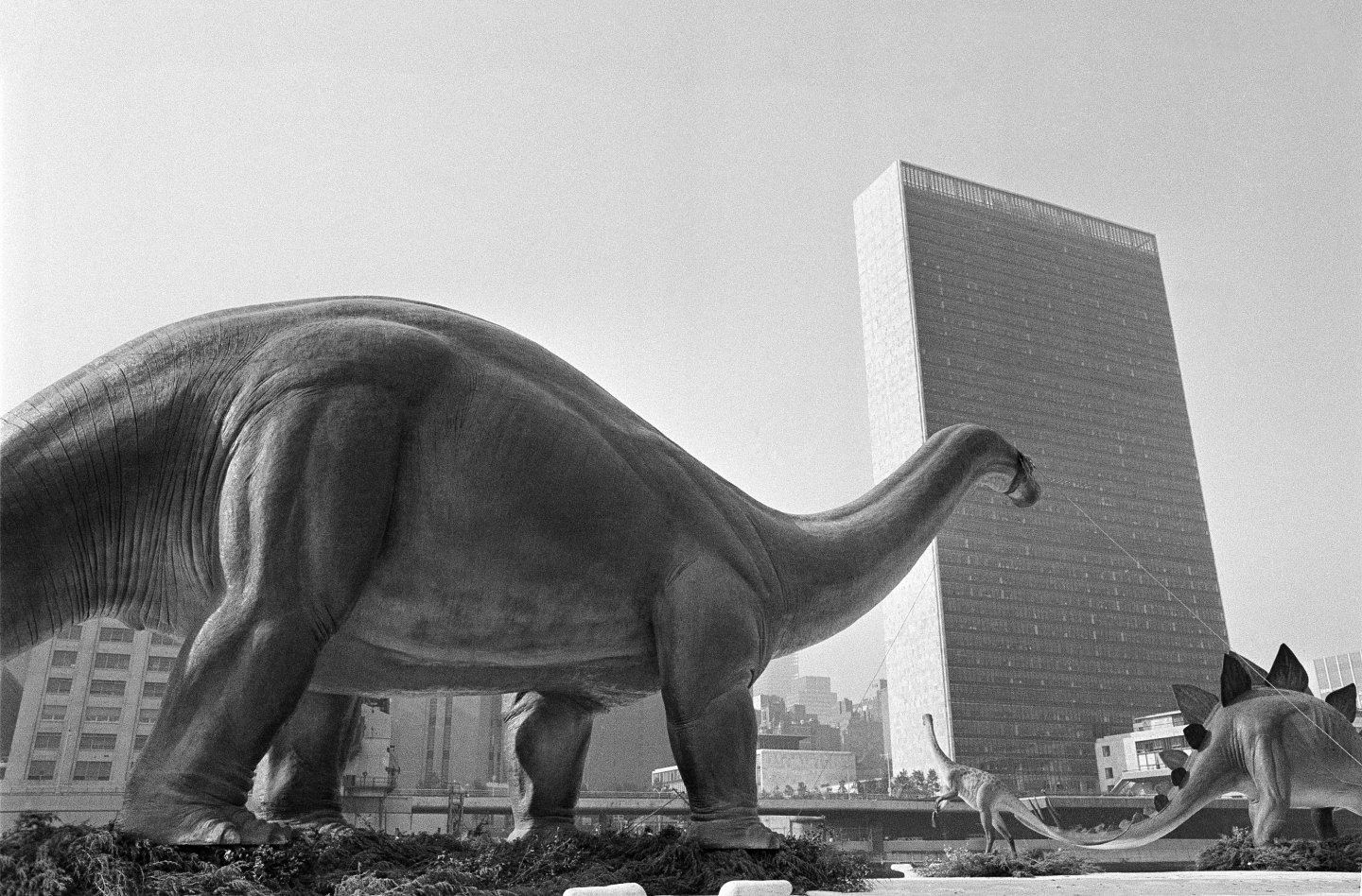 Why 'Brontosaurus' Was Brought Back From the Dead | RealClearScience