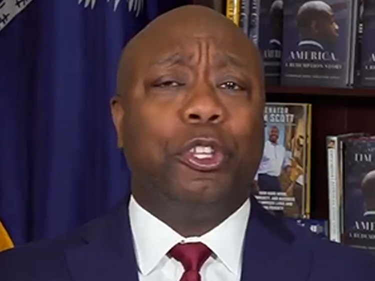 CNN Grills Tim Scott About Trump Endorsement: "Did You Change Your Mind ...
