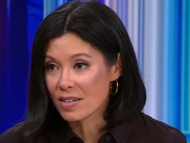 Alex Wagner: We Changed From You Have To Vote Or Else Everything Is ...