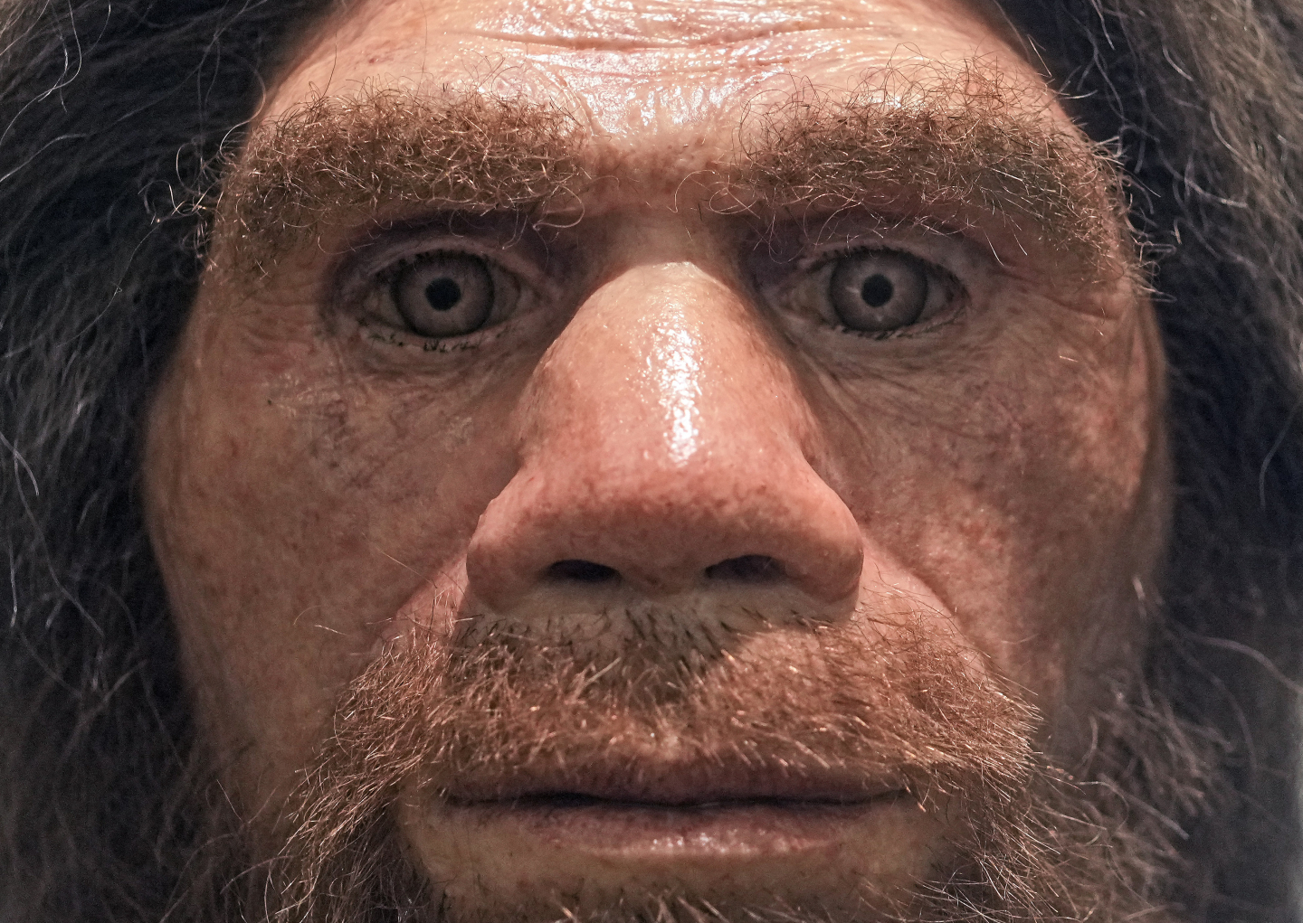 Modern Human DNA Has Lots of 'Neanderthal' in It, Except for the Y Chromosome. Why ...