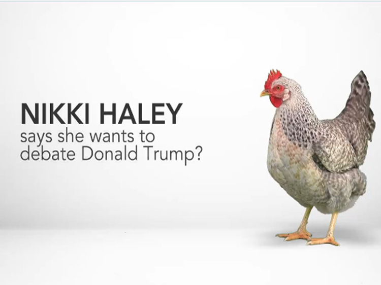 Trump Campaign Ad Calls Nikki Haley A Chicken: "What's The Point" Of ...