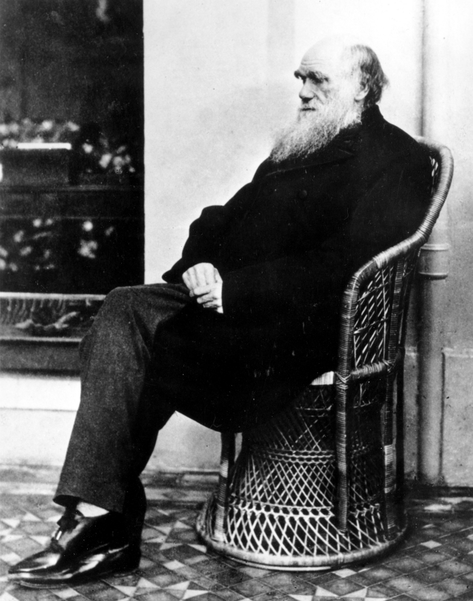 Contents of Charles Darwin’s Personal Library Revealed | RealClearScience