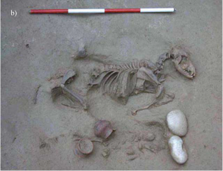 Why Were Some Pre-Roman Humans Buried With Animals? | RealClearScience