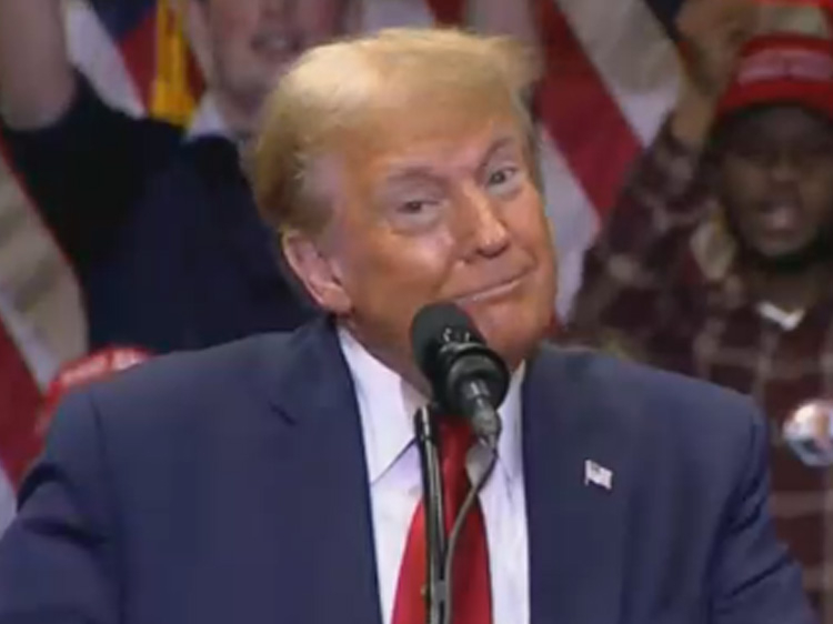 Trump: "Ultra-Left" Democrats Are "Meddling" In GOP Campaign By ...