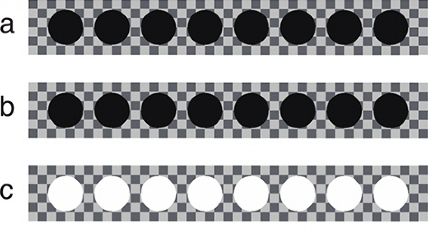 A New Optical Illusion Makes Circles Look 'Bumpy' | RealClearScience