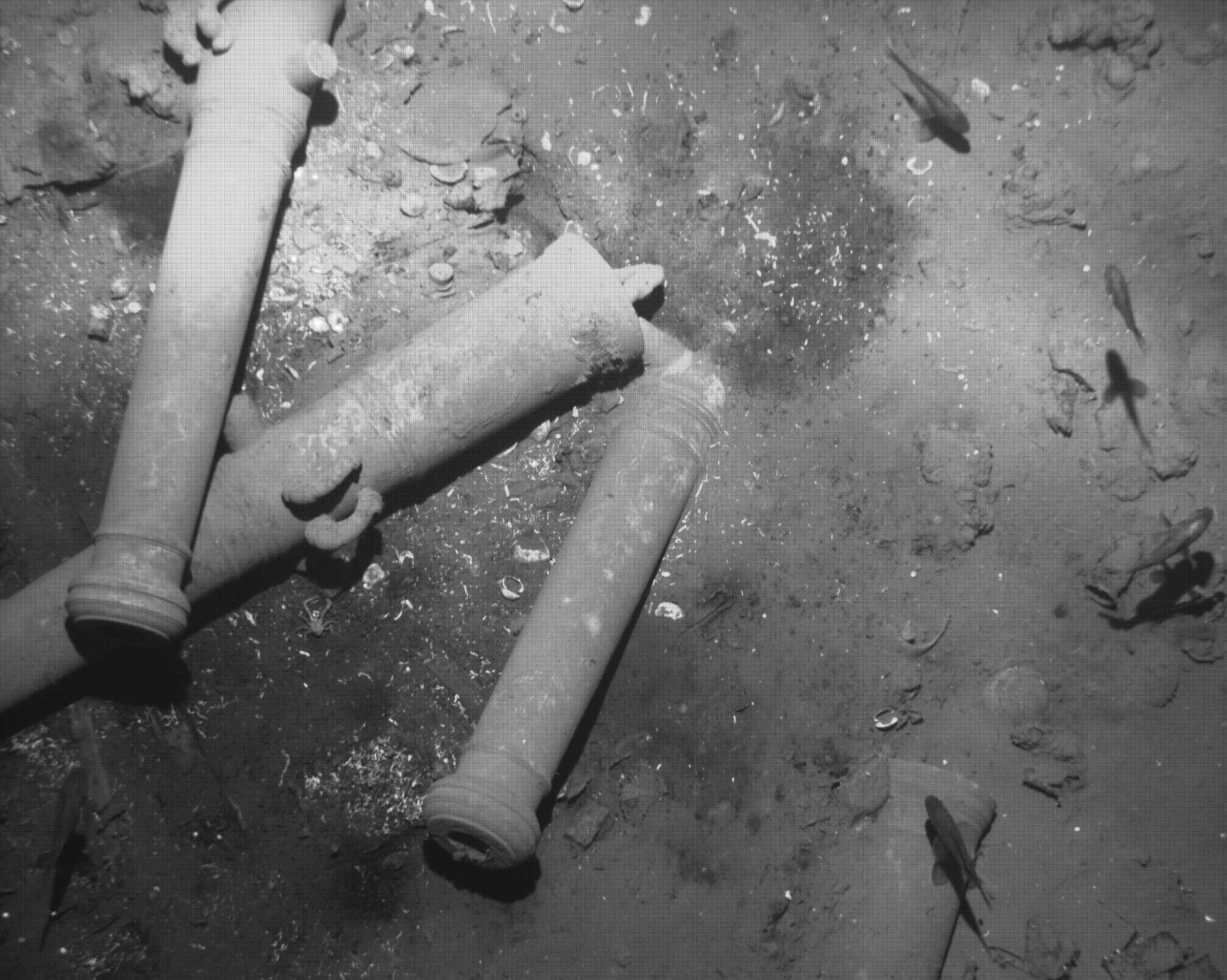 'Holy Grail' of Shipwrecks Finally Coming to Light | RealClearScience