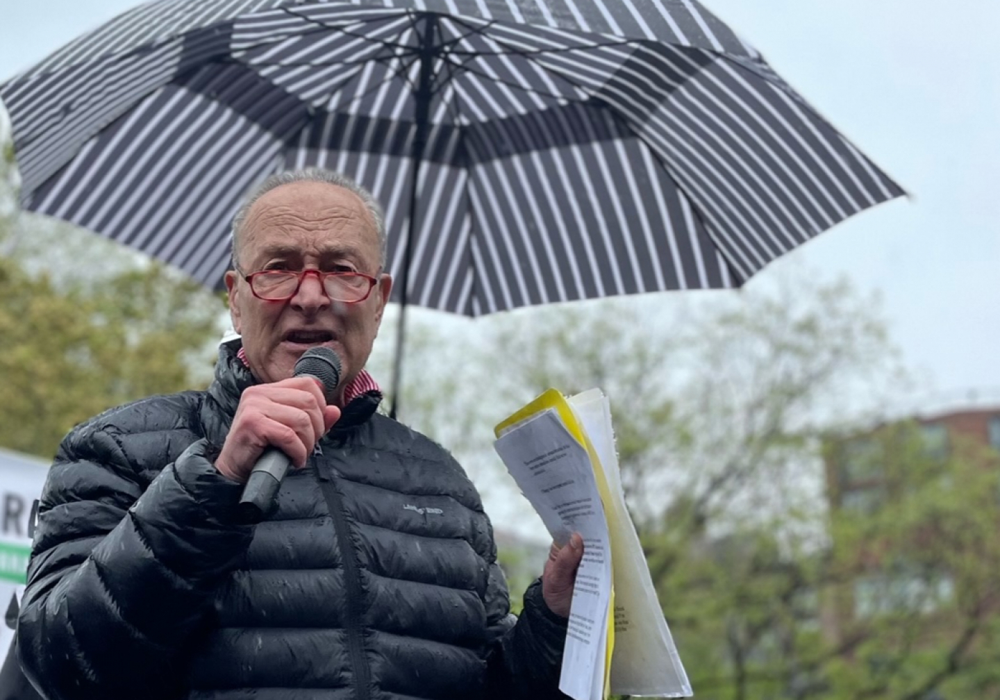 Chuck Schumer’s Tired Vanity Act Needs a Rest | RealClearWire