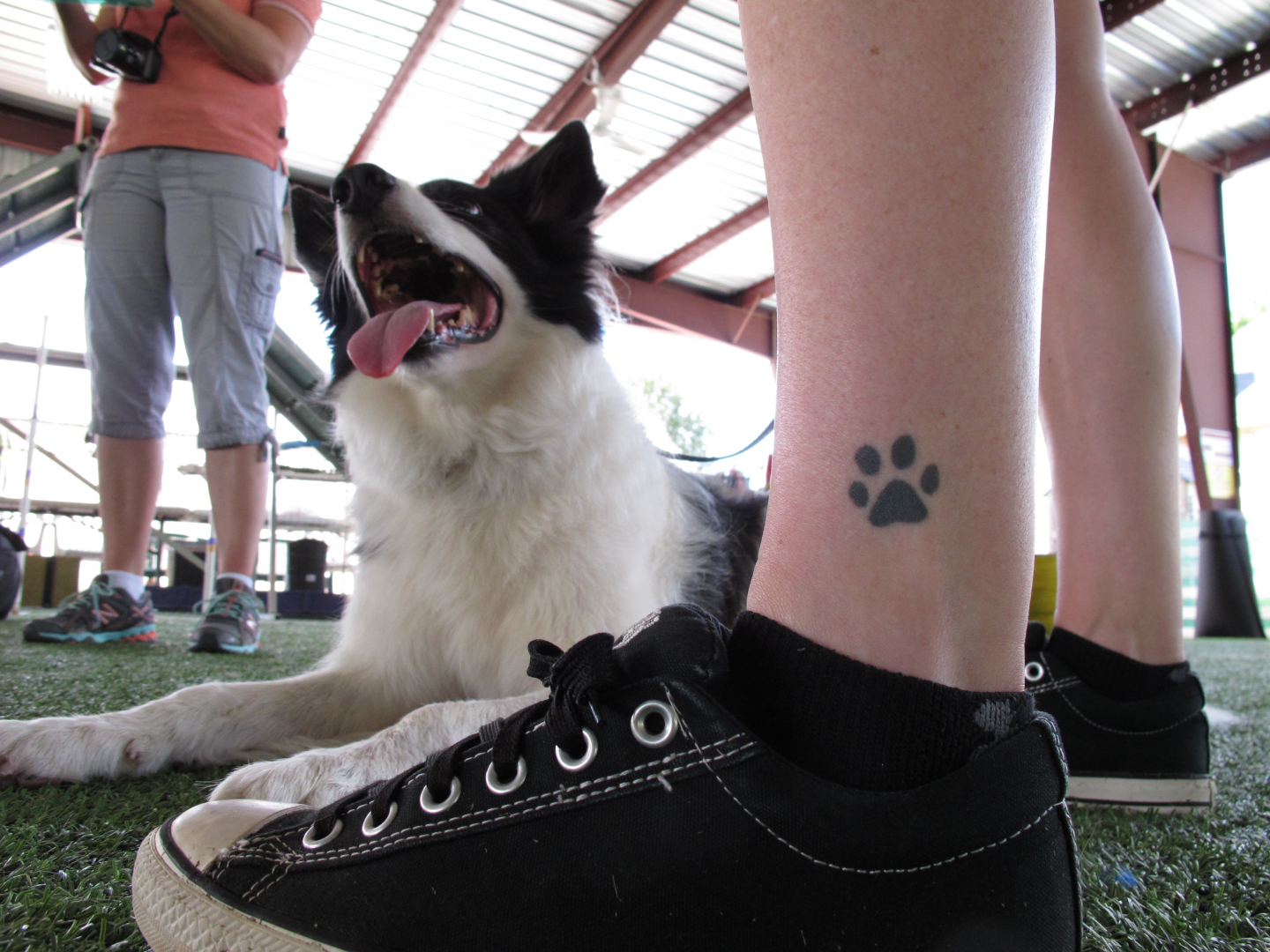 Dogs Can Understand the Meaning of Nouns | RealClearScience