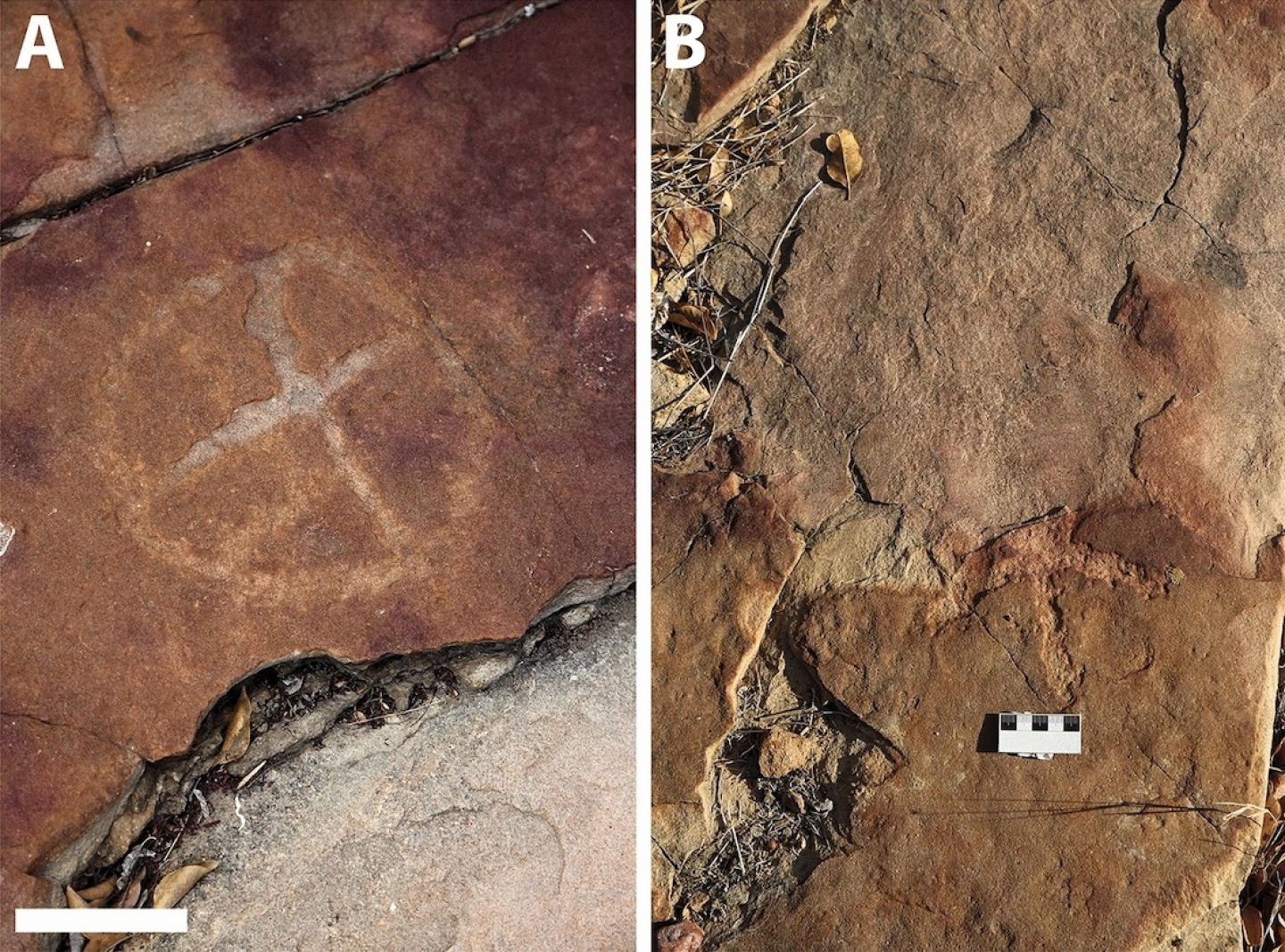 Ancient Humans Left Drawings Next to Dinosaur Footprints | RealClearScience