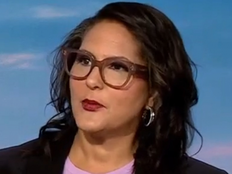 CNN's Karen Finney: "Fani Willis Has Already Made Herself A Character ...