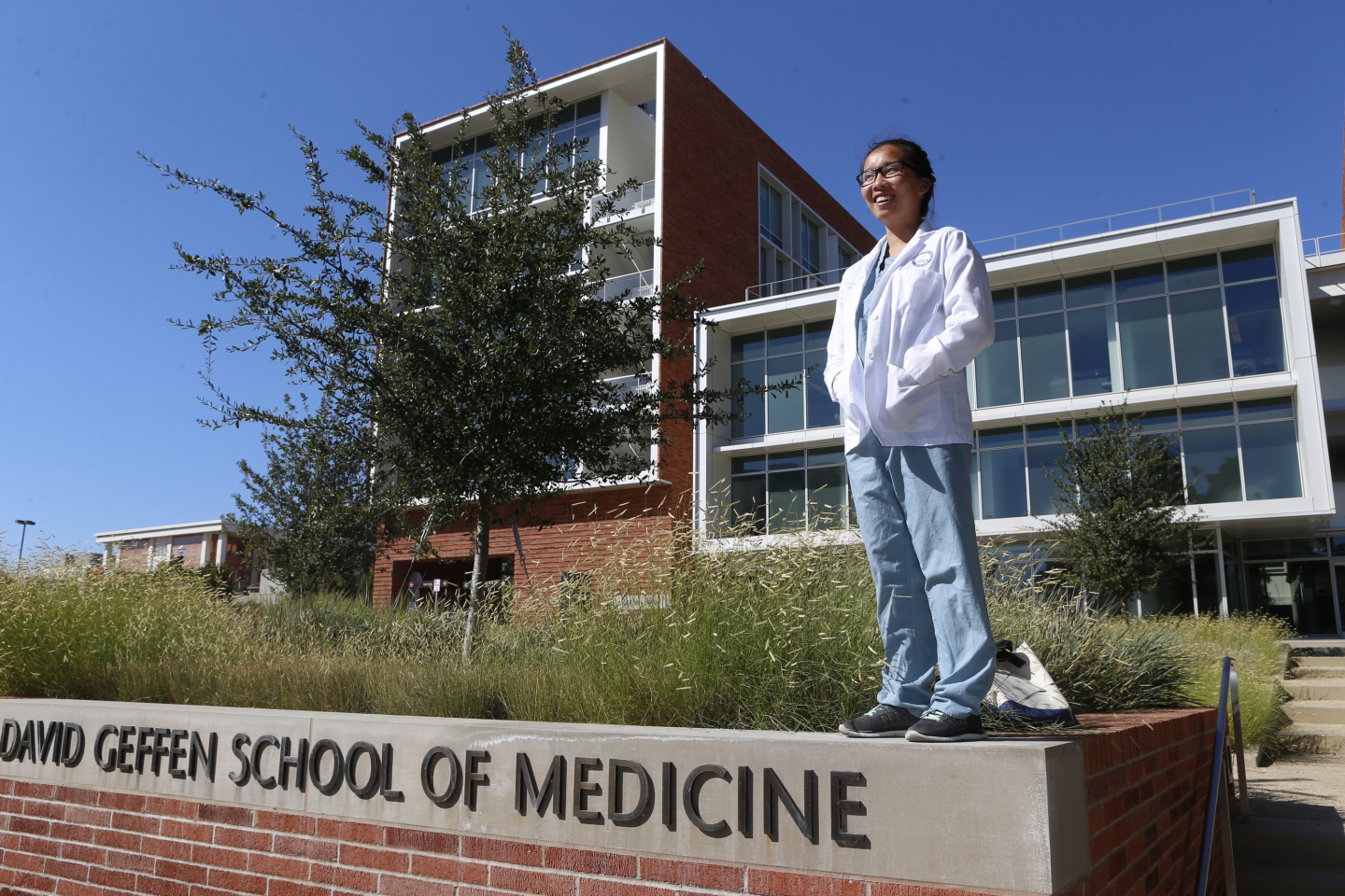 David Geffen School Of Medicine