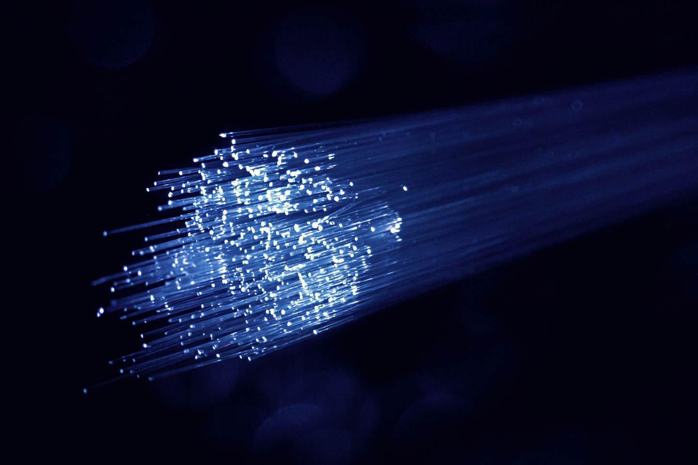 The Seven Phases of the Internet | RealClearScience