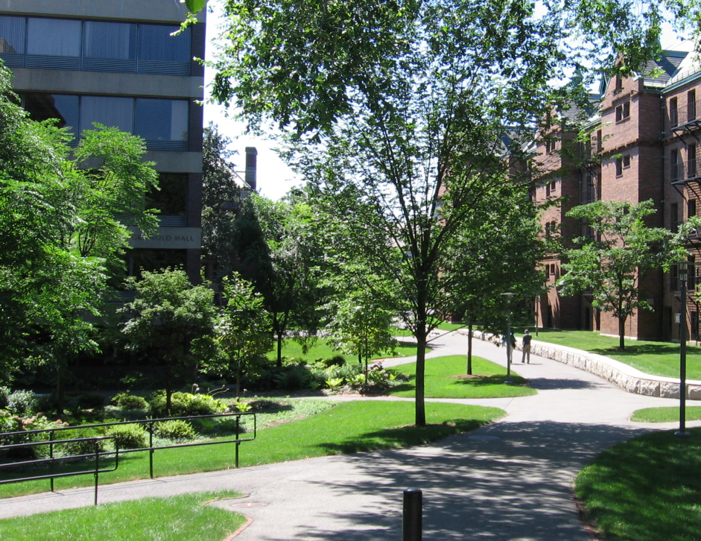 Harvard Should Reject the DEI Version of Diversity | RealClearWire