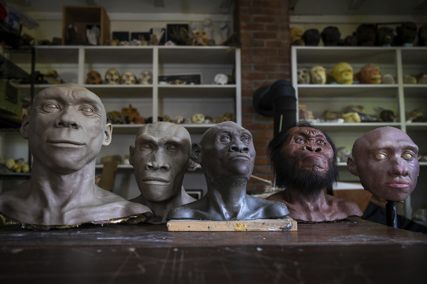 What Was It Like for Ancient Humans to Meet Cousin Species ...