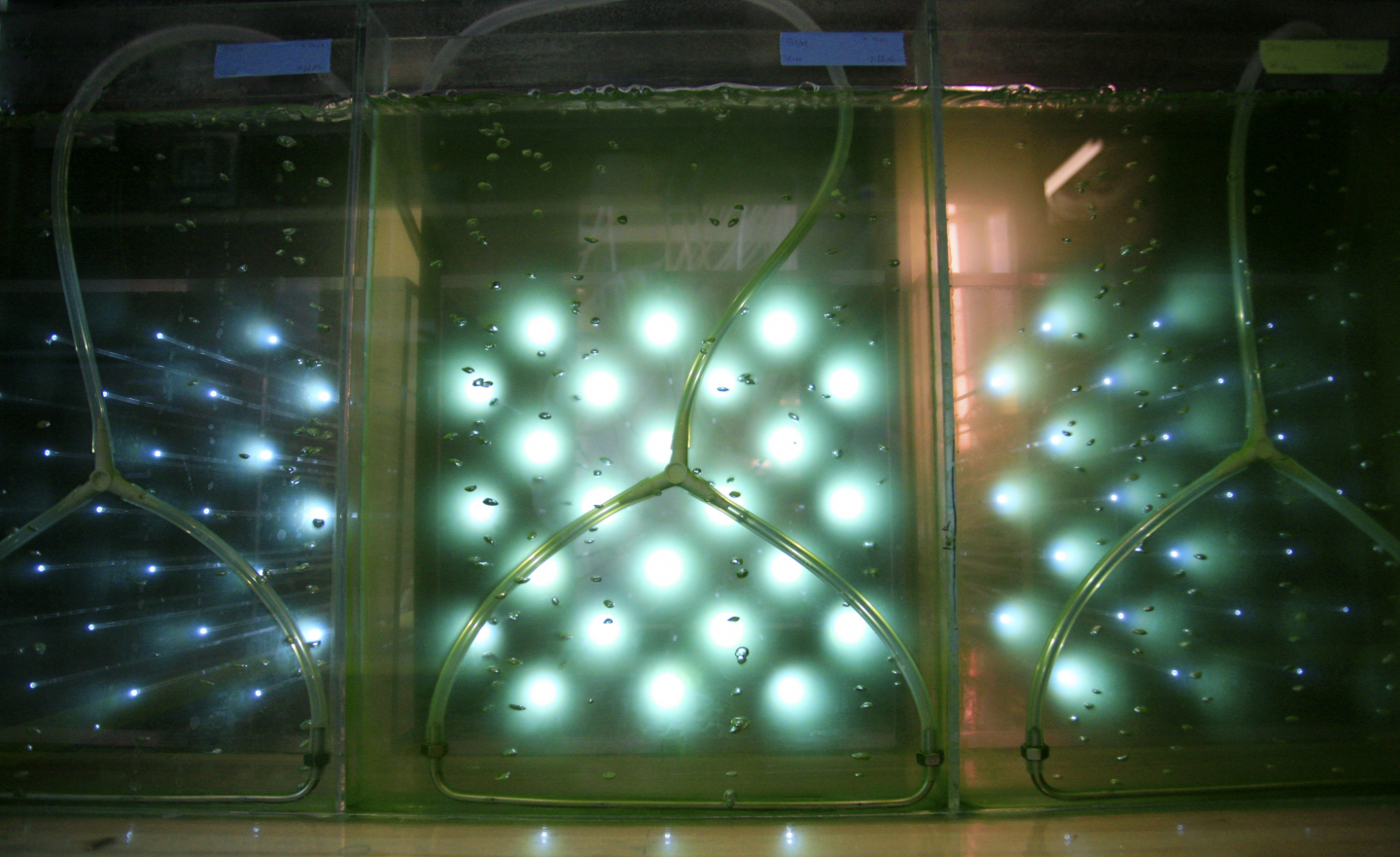 How Industrial Biology Will Transform Our World | RealClearScience