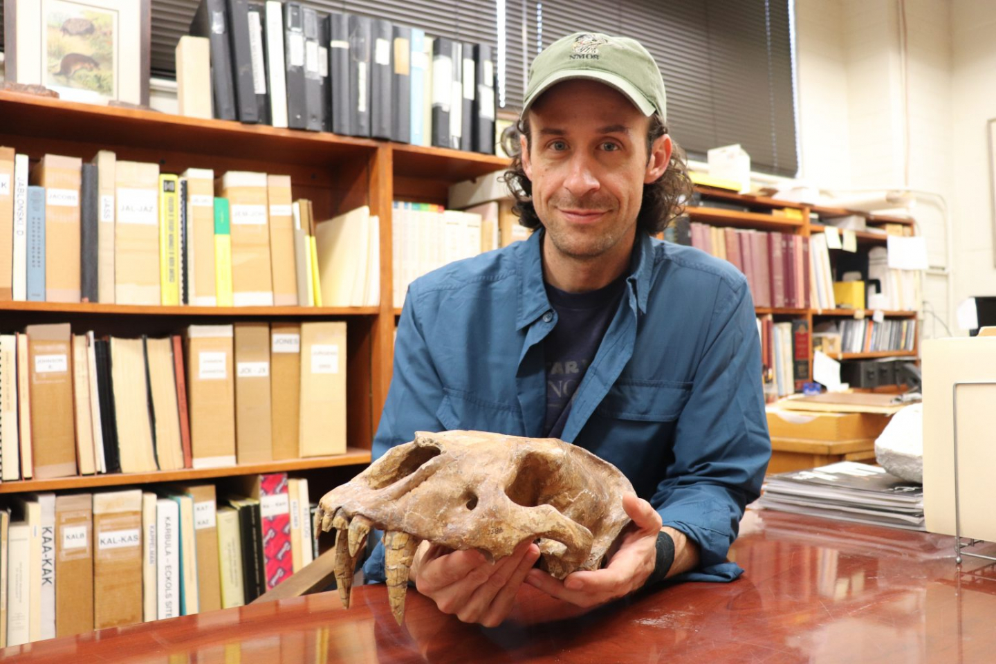 Fossil Places Extinct Saber-Toothed Cat on Texas Coast | RealClearScience
