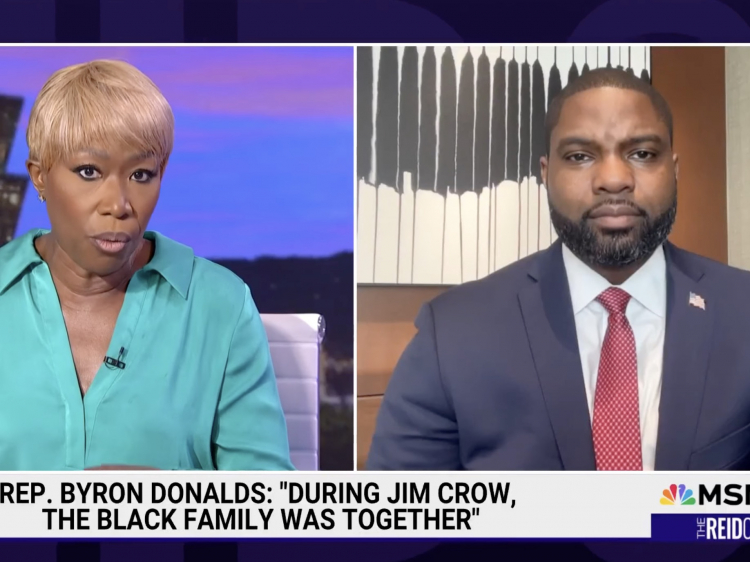 Rep. Byron Donalds vs. Joy Reid: I Never Said Jim Crow Was "The Golden ...