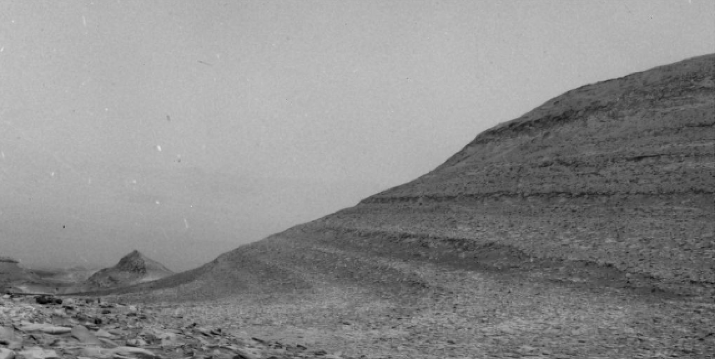 Life on Mars Might Look Like Something in Your Stomach | RealClearScience