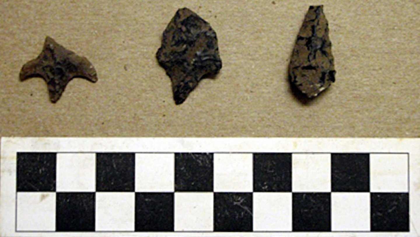 The Origin of Cumulative Culture in Human Evolution | RealClearScience