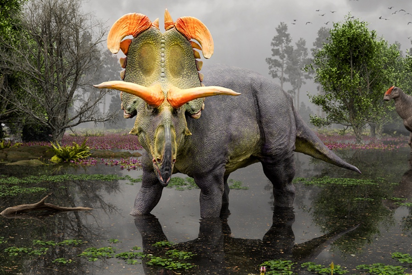 New Dino 'Lokiceratops' Boasts Big, Blade-Like Horns | RealClearScience