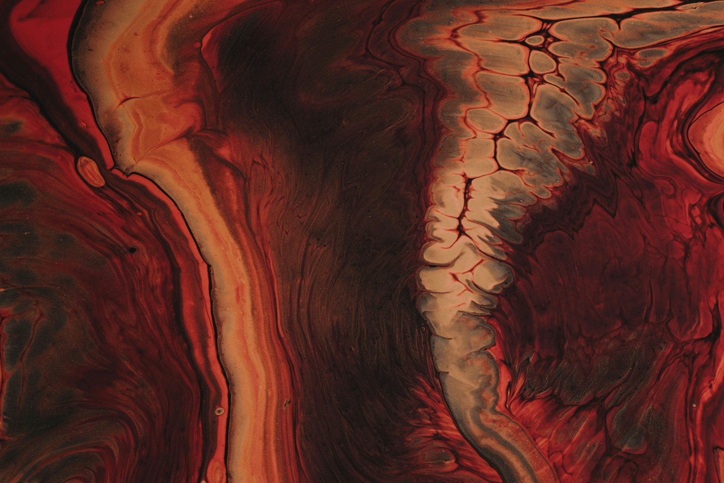 How We Found Remnants of Earth's Primordial Crust | RealClearScience