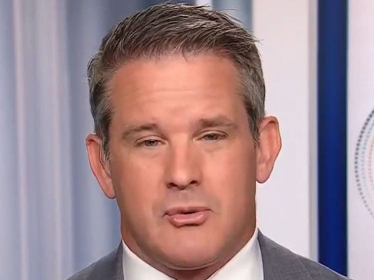 Adam Kinzinger Endorses President Biden: "I Survived January 6" | Video ...