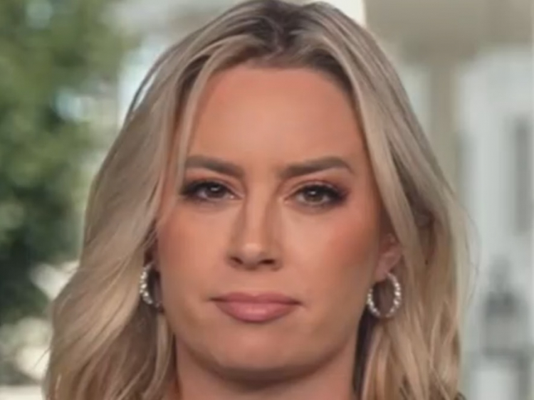 FNC's Jacqui Heinrich: The Dam Has Broken On Questions About Biden's ...