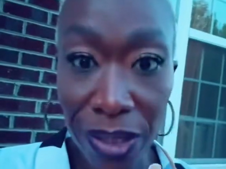 Joy Reid: I'd Vote For "Biden In A Coma" To "Keep Hitler Out Of The WH ...