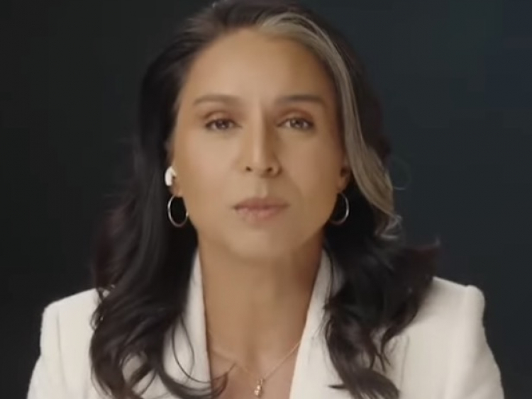 Tulsi Gabbard: It Would Be A Huge Mistake For Trump To Choose Rubio For ...