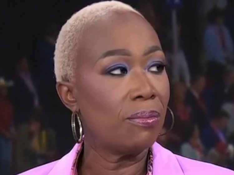 Joy Reid: It's Really Important That Walz Led The Gay-Straight Alliance ...
