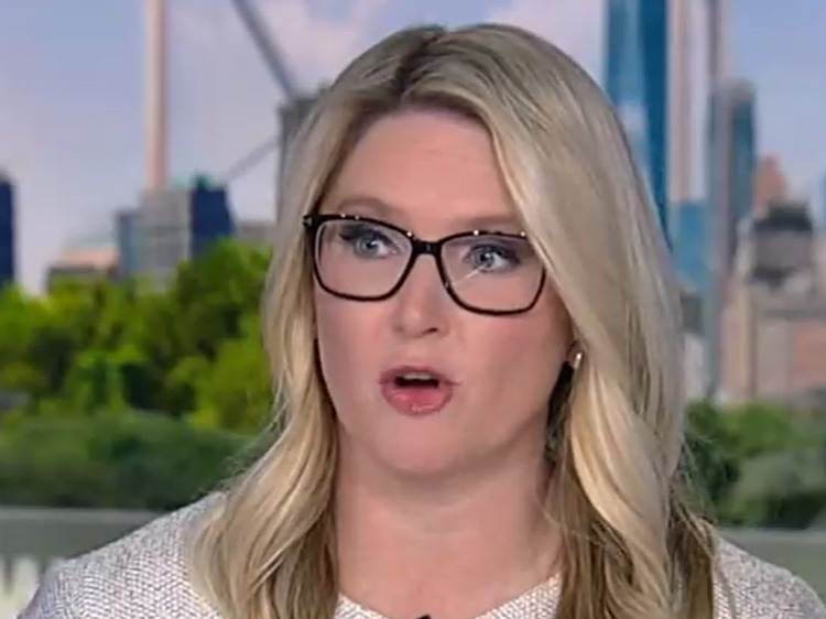 'FOX News Sunday' Panel: Biden Meandering Around, Reminding People How ...