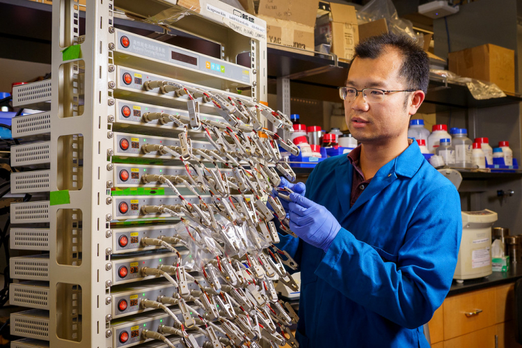 Quick and Clear Science | RealClearScience