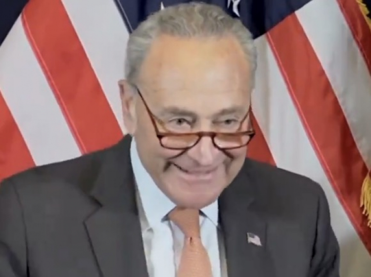 Schumer: We Are Here To Throw Our Support Behind VP Kamala Harris, "I'm ...
