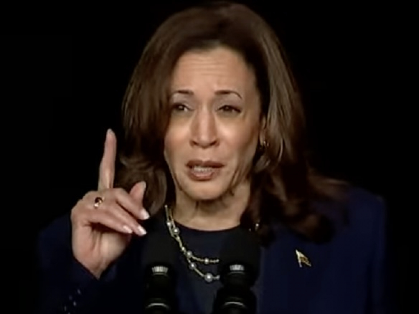 Harris Is Recycling the 2020 Dem Campaign | RealClearPolicy