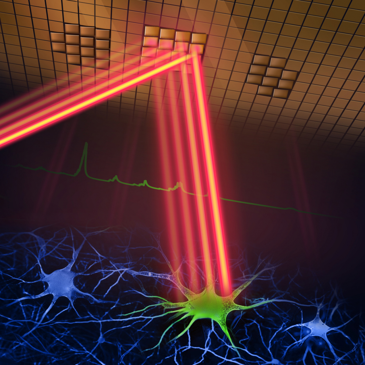 New Microscope Offers Faster, High-Resolution Brain Imaging ...