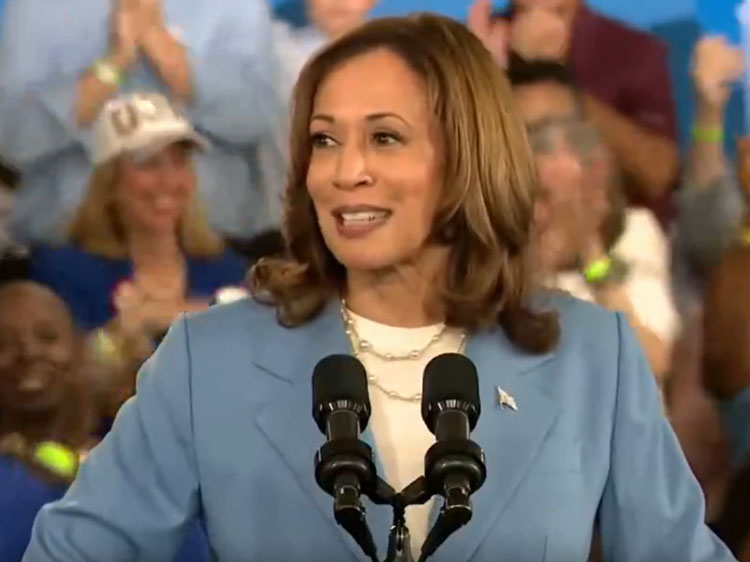 Kamala Harris: We Will Take Down Red Tape To Build Three Million New ...