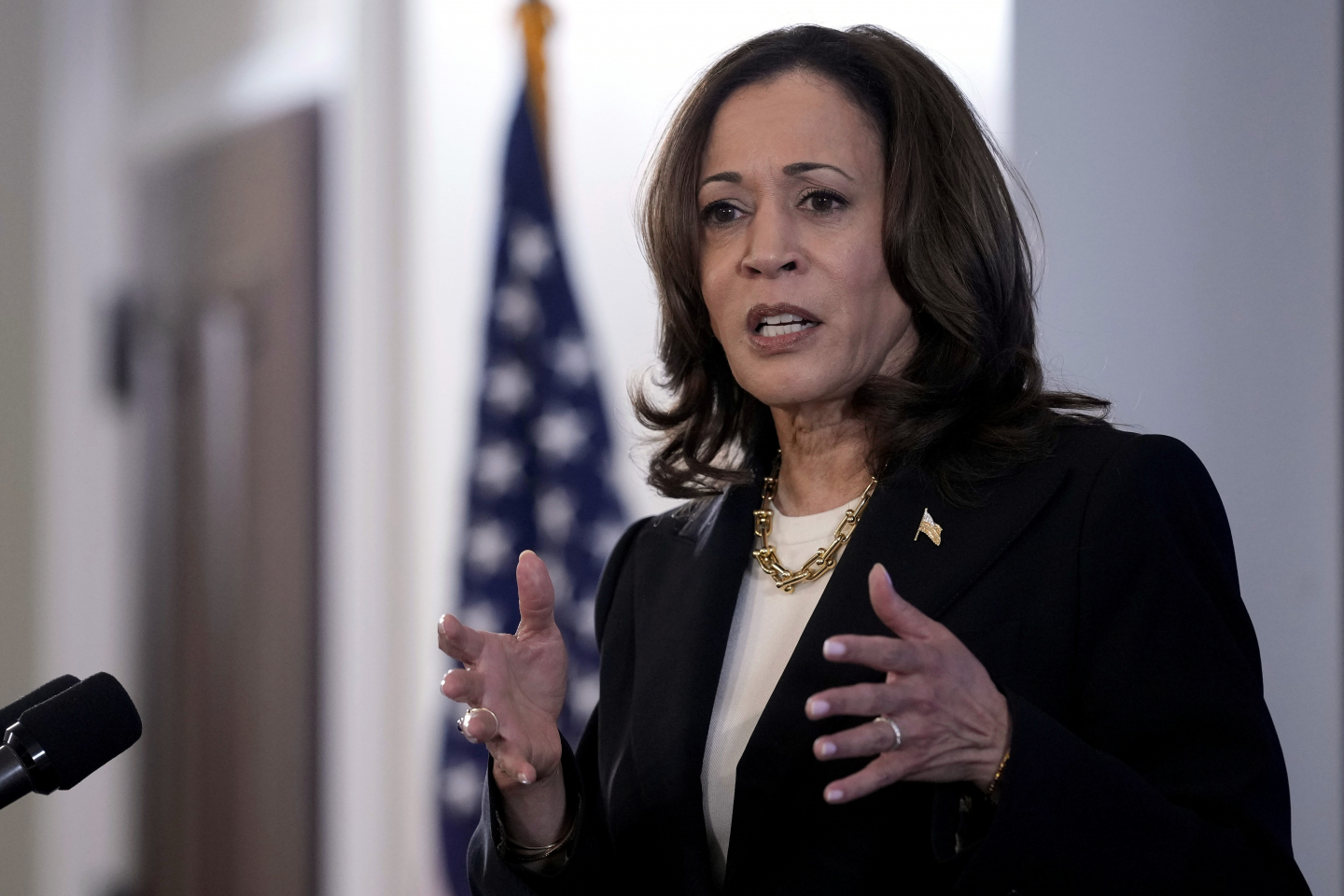 Where Do Center-Left Democrats Go Now? | RealClearPolicy