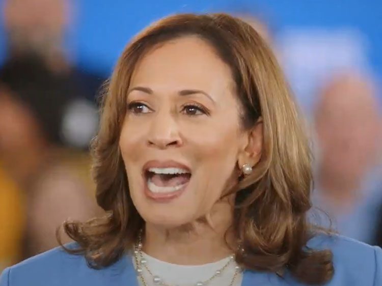 Harris Campaign Touts Plan To Build 3 Million Houses In New Ad | Video ...