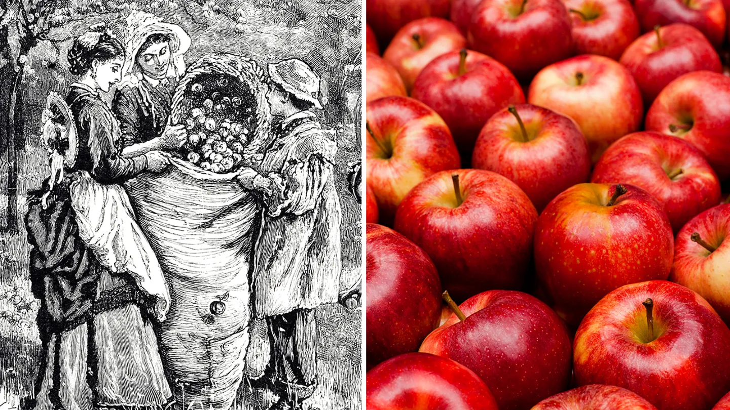 The American Who First Planted Apples in the Colonies | RealClearHistory