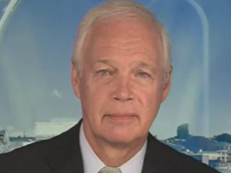 Sen. Ron Johnson: "I'd Love To See Elon Musk Come In And Do To The ...